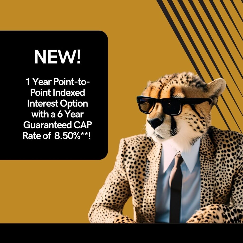 Home - Revol One Financial Professionals